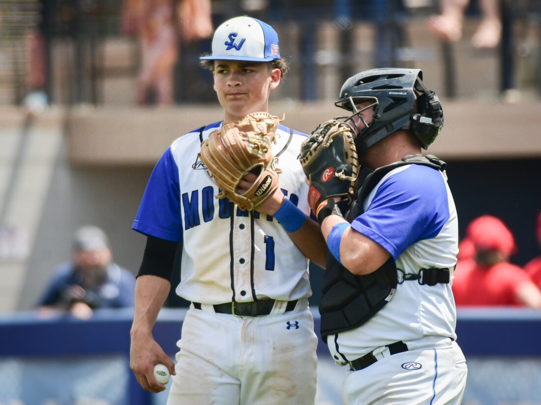 Wyalusing takes District 4 title, but South baseball not finished ...